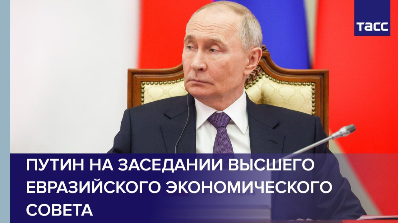 Путин на заседании Высшего Евразийского экономического совета