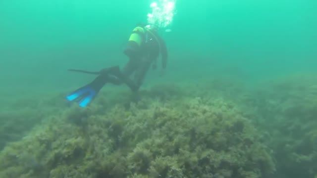 Часть 2_Дайвинг в Анапе_Клуб подводного плаванья "Дельфин" 13.09.2017