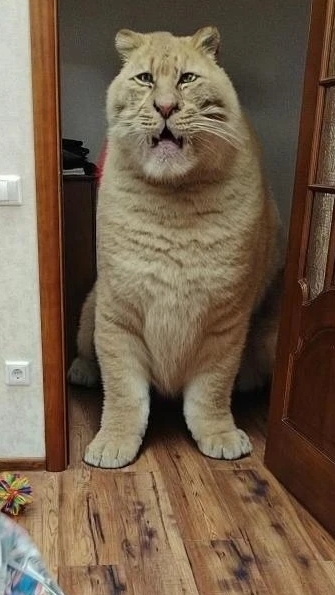 Ура у меня 101 подписчик