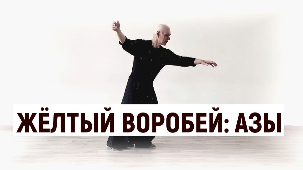 Тайцзи «Жёлтый воробей»: первый фрагмент формы + техника шага и веса / Занятие #18