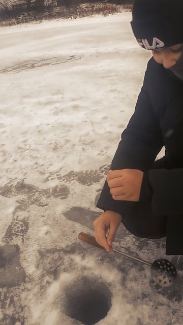 Зимний карась вышел на охоту