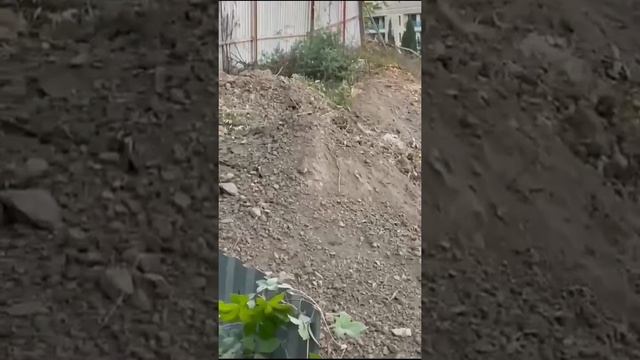 Город из стекла