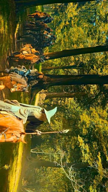 Властелин колец моменты из фильма