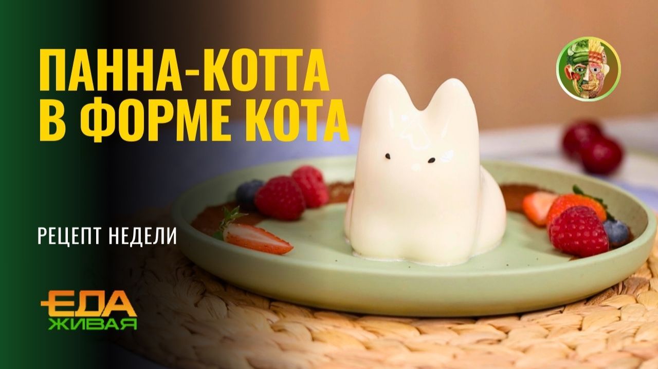 Панна-котта в форме котёнка | Живая еда (эфир 20.12.2025)