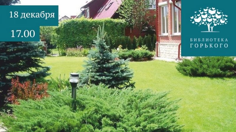 Садовые мифы, в которые верят дачники