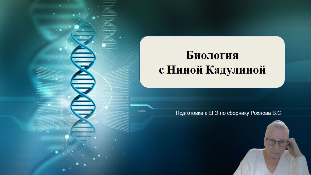 Типы 28-х задач 2026. Решаем задачи на сцепление с полом