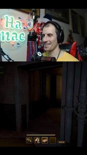 Что это было MIMESIS #mimesis #shorts #твичстрим