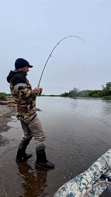 Кета — настоящий боец