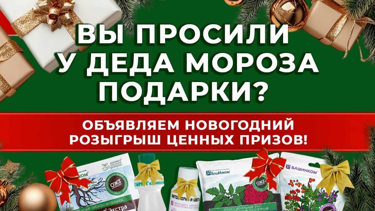 Вы просили у Деда Мороза нужные и никогда не надоедающие подарки?Внимание, друзья! Объявляем нового