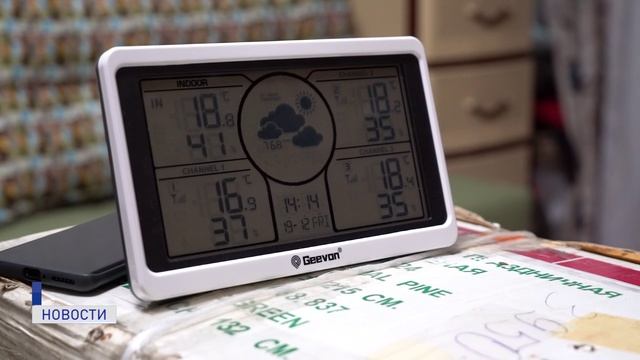 СКОВАННЫЕ МОРОЗОМ