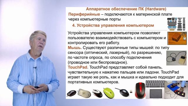 Информатика 7