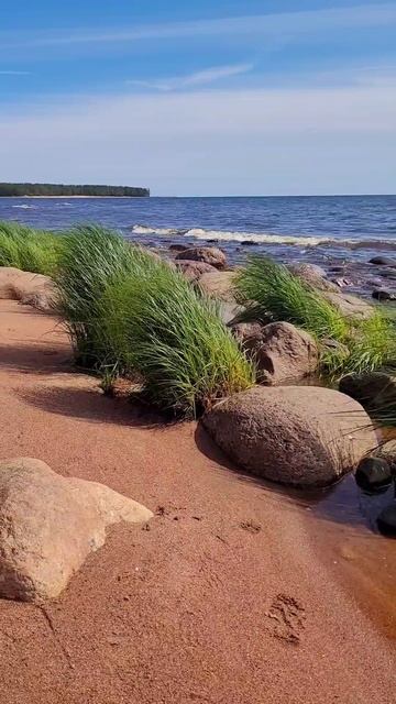 Карелия 2025. Пляжи Видлицы. Июль 2025г (Часть 18)