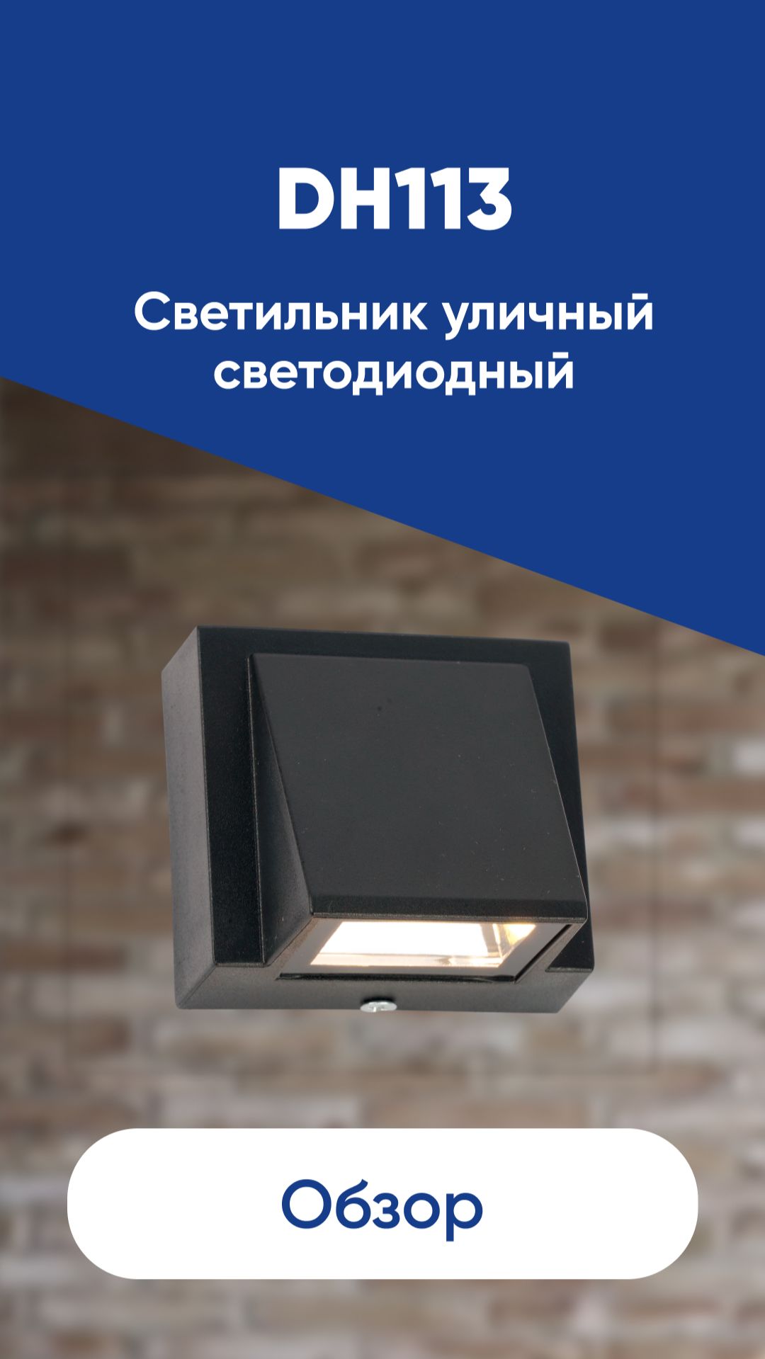 Светильник уличный светодиодный Feron DH113