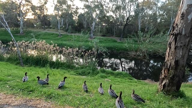 Вечерняя прогулка по чудесному природному заповеднику