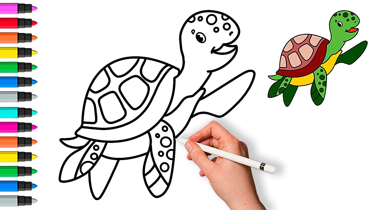 Как нарисовать черепаху  Рисунок и раскраска #рисунок #раскраска #длядетей