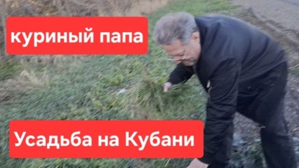 Усадьба на Кубани24.12.24.Куриный папа. Набрали картошки.Быстрая пицца на ужин.Архив..