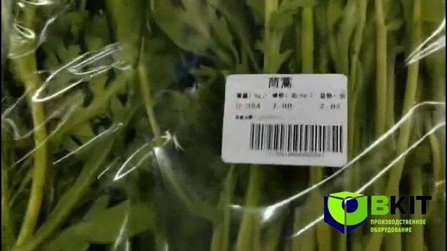 Он-лайн-весы (чеквейер) с принтер-аппликатором (этикетировщиком) с пневмо-переносом этикетки сверху