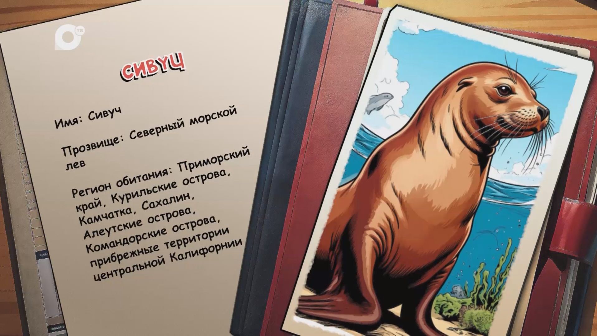 Агент биосферы / Сивуч / 17.12.25