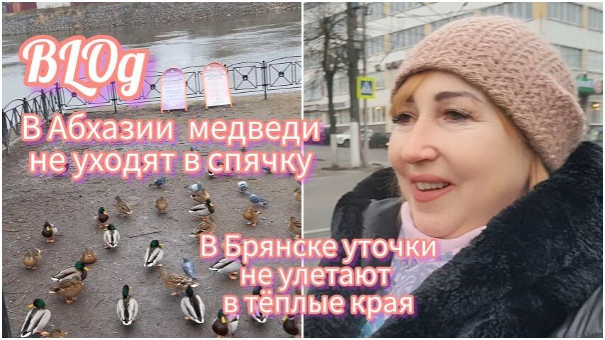 Влог/Прогулка по Брянску/ Магазин текстиля/ Уточки на Десне/ Собираю чемодан в Абхазию/ Иду к внучке