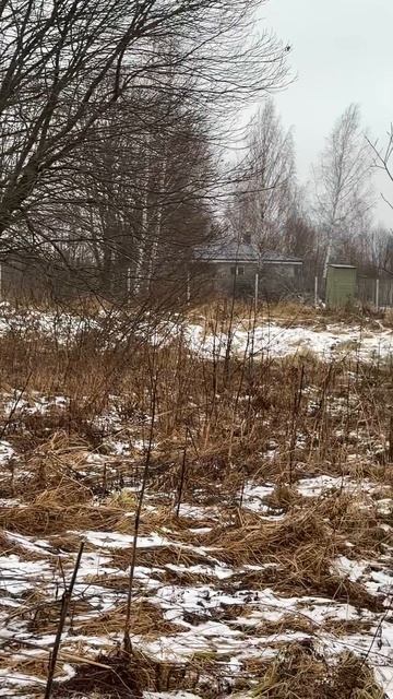 АКЦИЯ!!! 30% скидка!!!  земельный участок 25 соток в прекрасной локации, деревня Рябинино