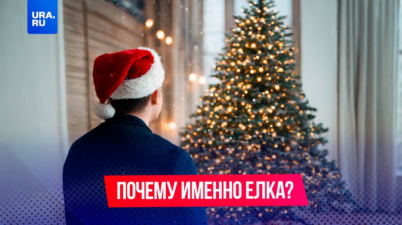 Почему именно елка — символ Нового года?