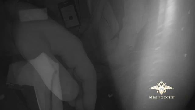 В аэропорту Шереметьево имени А.С. Пушкина сотрудники полиции задержали агрессивную авиапассажирку