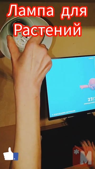 Волшебная лампочка