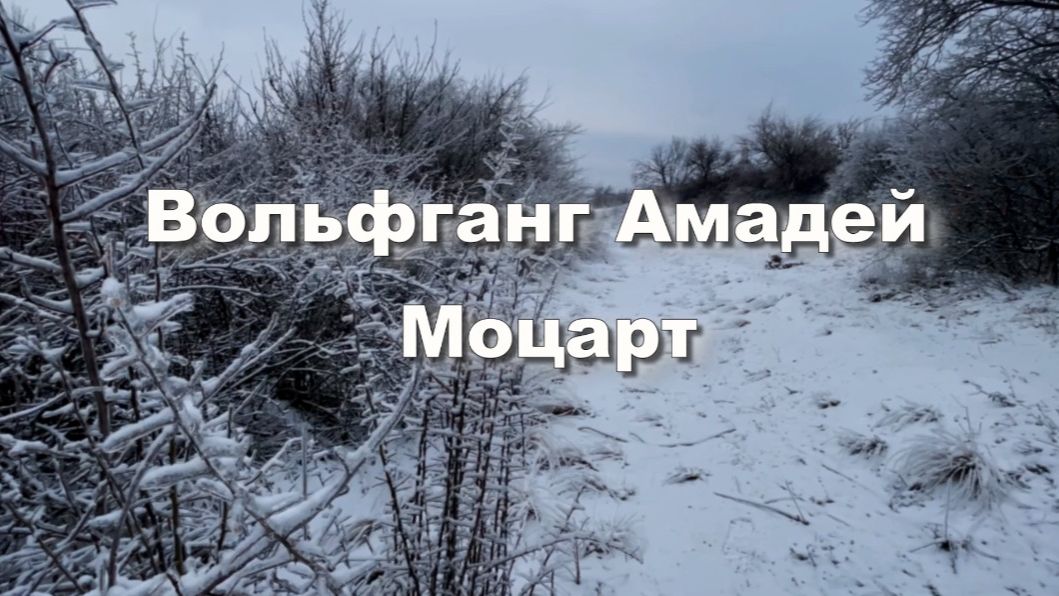 В.А. Моцарт - концерт для валторны с оркестром номер 2 ми бемоль мажор