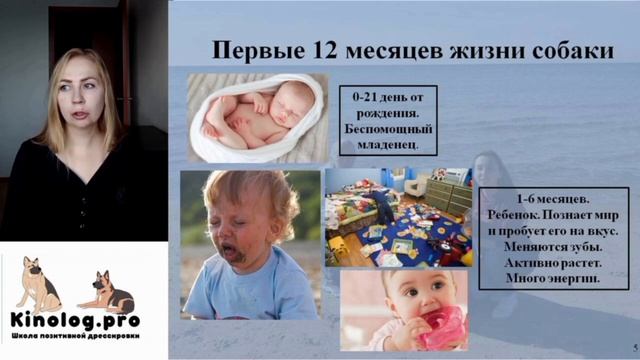 Ознакомительная часть из видео-урока "Мой щенок". Щенок дома, что делать...