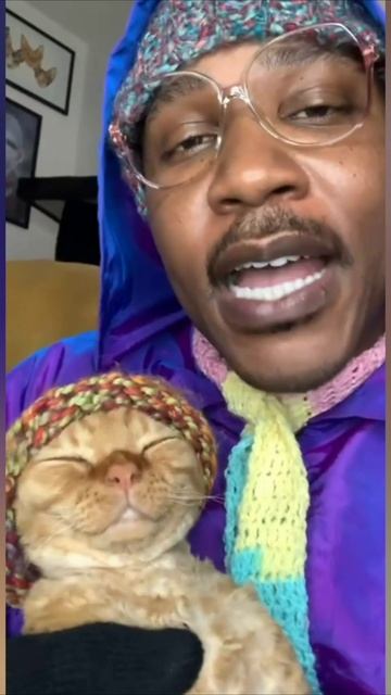 Смешные коты #99-2