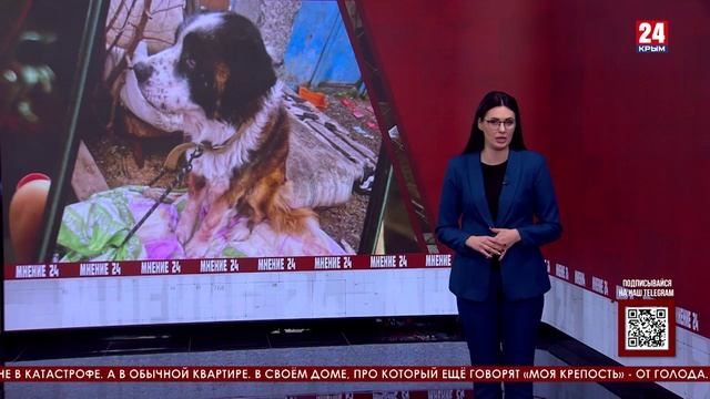 Мнение 24. Забытые сердца, вопрос приоритетов и тест на человечность