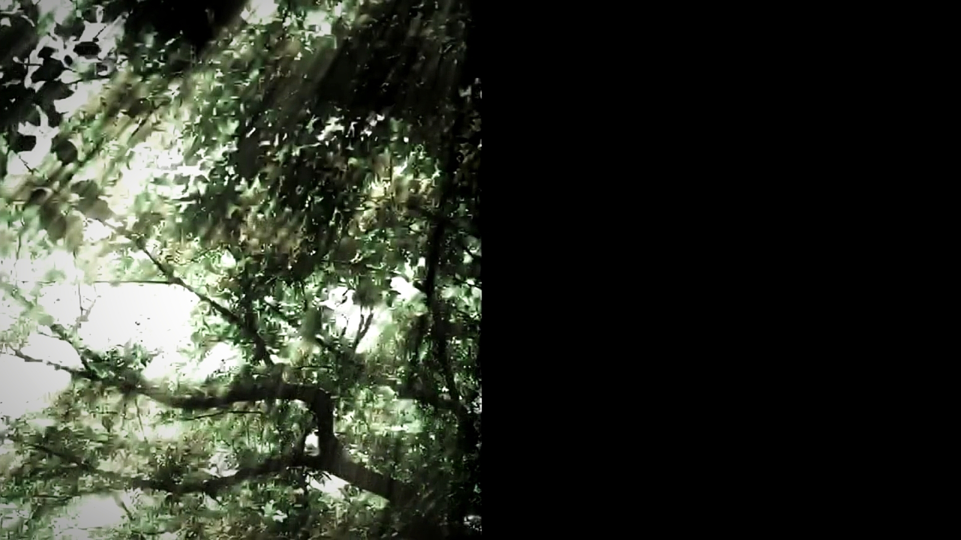 Токийский Гуль - Эндинг 4 | 4k | 60FPS | Creditless |