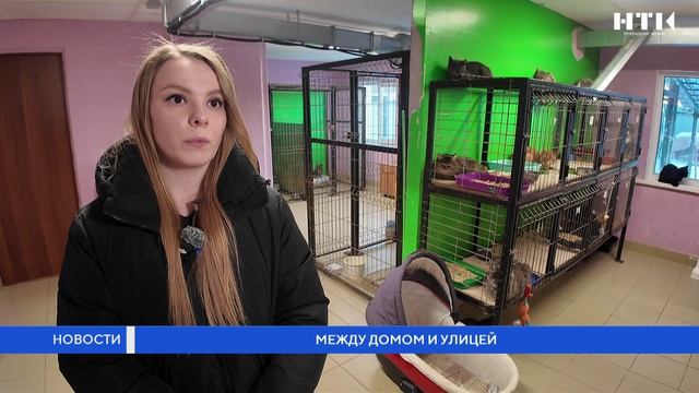 Между домом и улицей