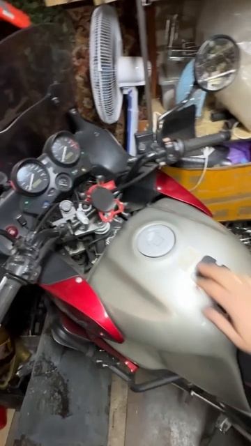 О как же я люблю вас (мото посвящается)