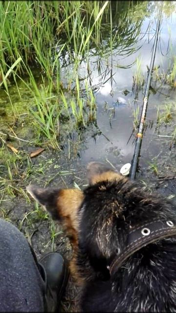 Надежная защита от комаров на рыбалке