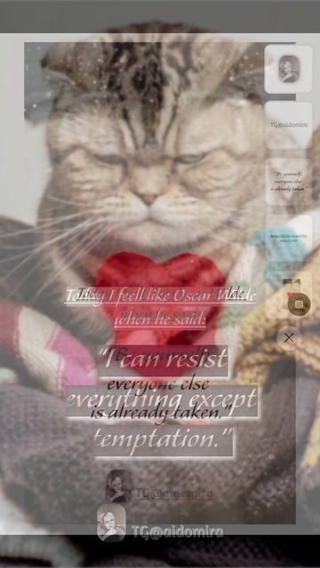 "Шерстяные", уютные и тёплые обои