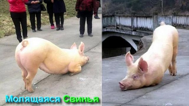 Ответы на Вопросы по Мистике от 22.12.25