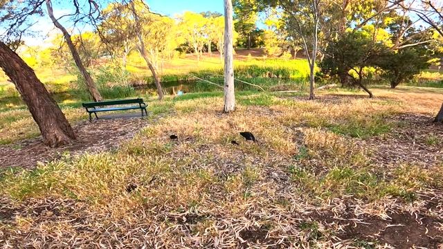 Тихая река течет неспеша