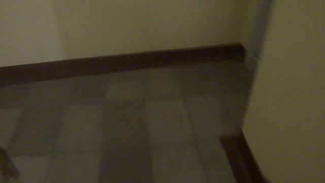 Пассажирский лифт V=0,71 м-с, Q=320 кг (5283)