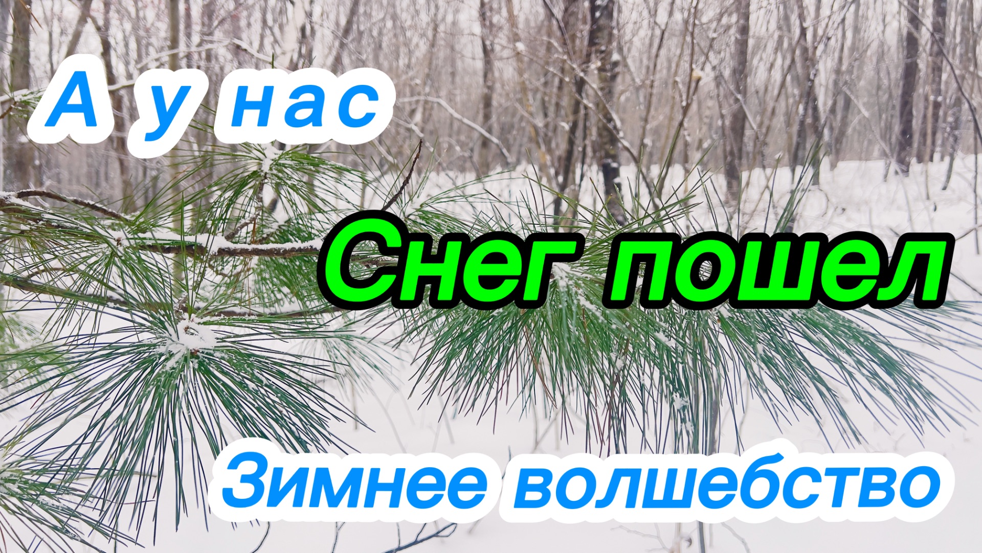 А у нас снег идет! А у Вас?/Когда идёт снег, мы снова чувствуем себя детьми