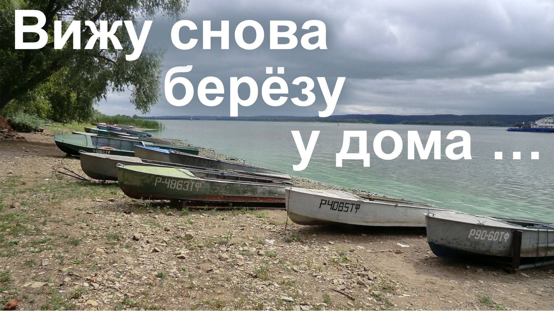 Поэзия.  Вижу снова берёзу у дома …