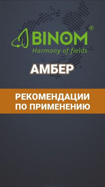 🌱 BINOM Амбер – энергия роста с первых дней