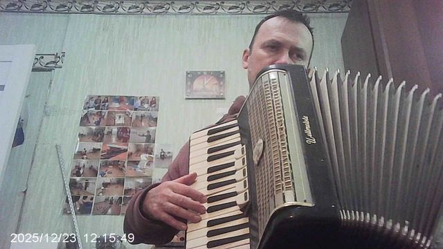 Аккордеон: "По Дону гуляет казак молодой"