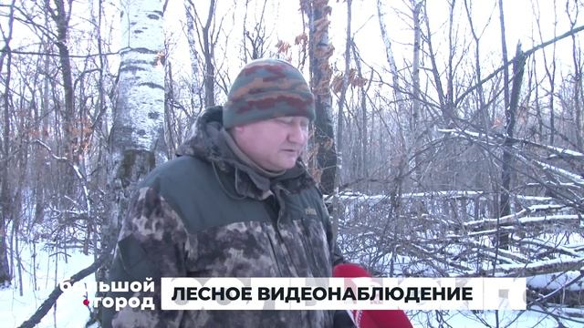 ЛЕСНОЕ ВИДЕОНАБЛЮДЕНИЕ. Большой город 23/12/2025