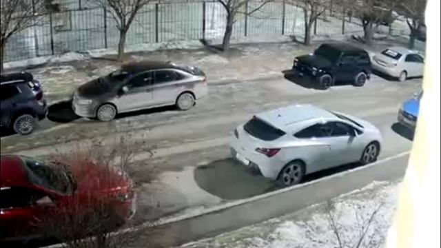 Лиса в одном из дворов Омска