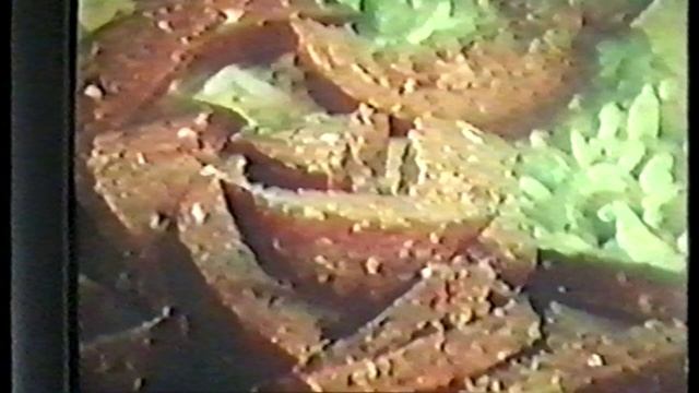 Поход к Северному полюсу на собаках в 1995 г.ч3. Виктор Боярский.  Комиссия научного туризма  РГО