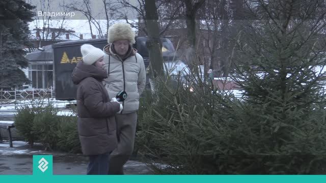 Во Владимире открылись елочные базары