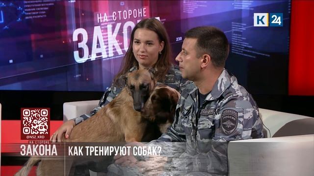 На стороне закона. 23.12.2025