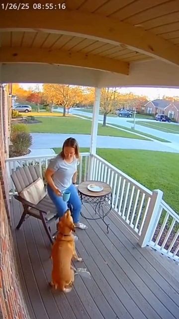 #shorts видео юмор приколы смешно