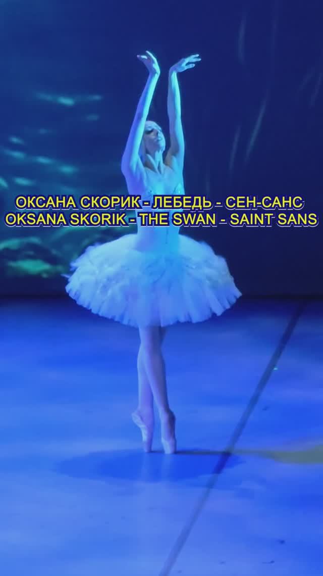 🩰 Умирающий лебедь. Балет #классическаямузыка #балет #балерина